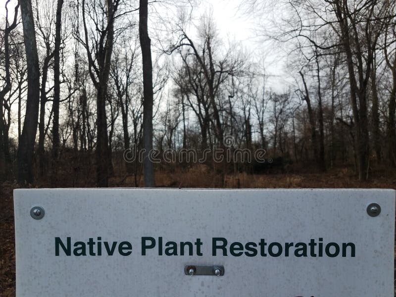 Native Plant Restoration Sign with Trees in Woods Stock Image - Image ...
