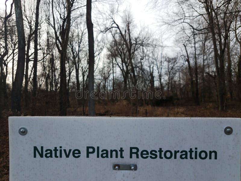 Native Plant Restoration Sign with Trees in Woods Stock Image - Image ...