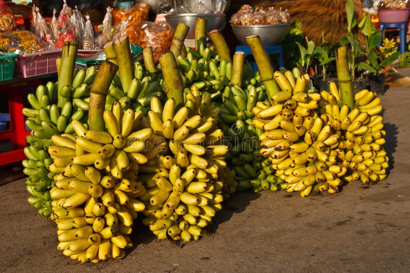 Bike without Driver? Bike Loaded Upwards with Many Bunches of Green ...