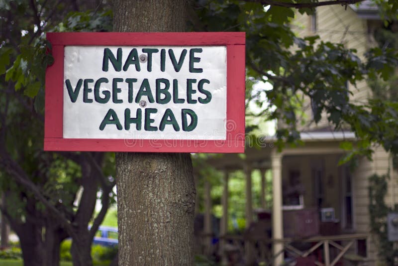Native Vegetables Sign stock image. Image of agriculture - 4933819