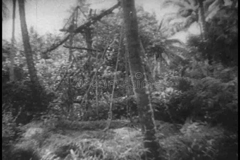 Trap with a Falling Door for Catching Foxes Stock Video - Video of ...