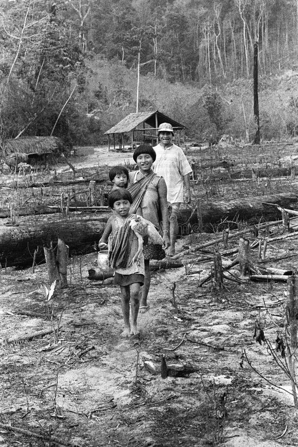 Natives Indians Awa Guaja of Brazil Editorial Photography - Image of ...