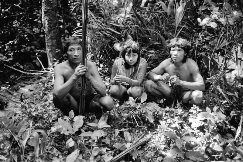 Natives Indians Awa Guaja of Brazil Editorial Stock Image - Image of ...