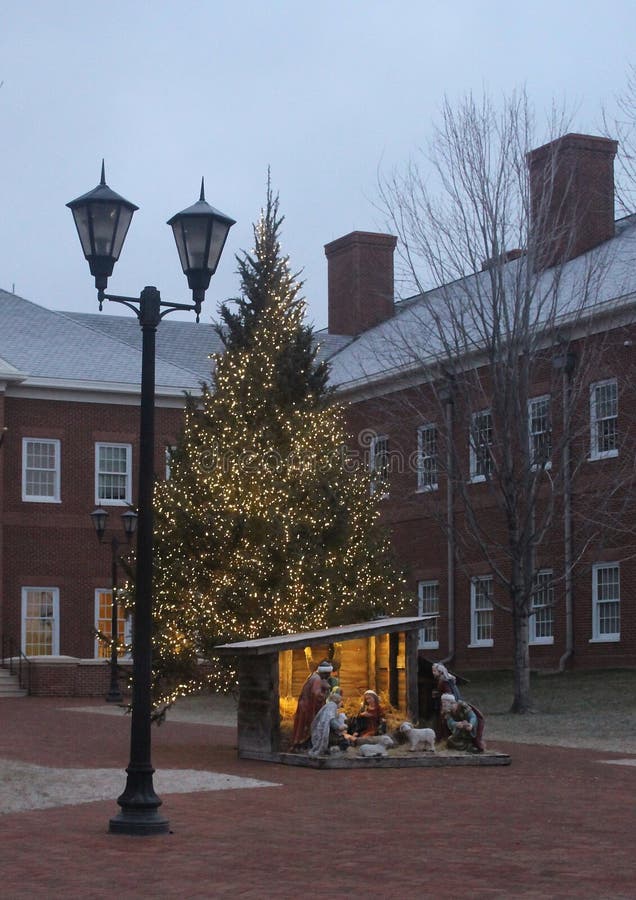 Nativity Scene with Tall Pine Tree with White Lights Stock Image ...