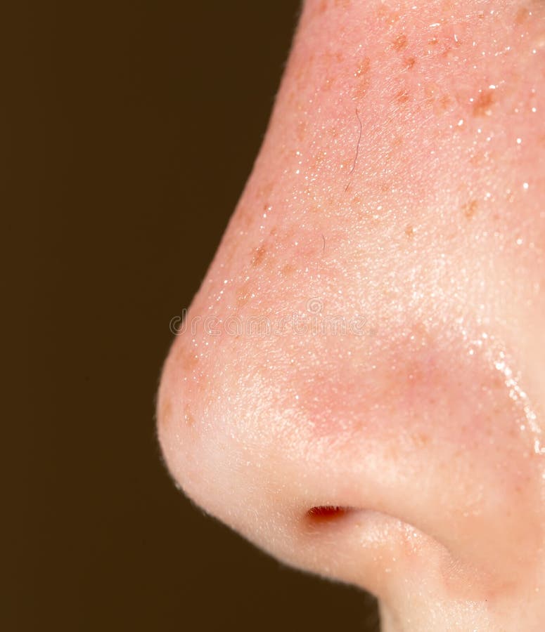 Natte Neus sluit stock afbeelding. Image of gezicht - 106776565