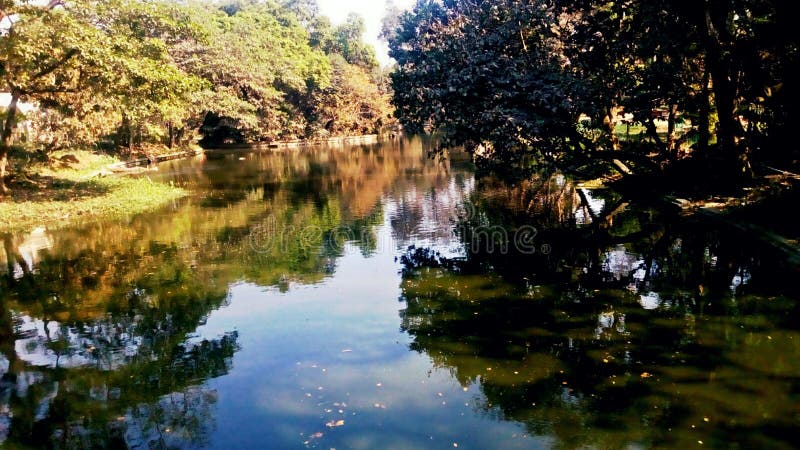 123 Natue Foton - Gratis och royaltyfria stockfoton från Dreamstime