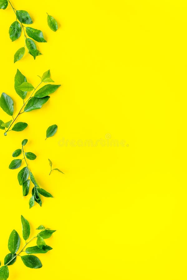 Natura Layout of Green Tree Leaves, Concept, Top View, Flat Lay Stock ...