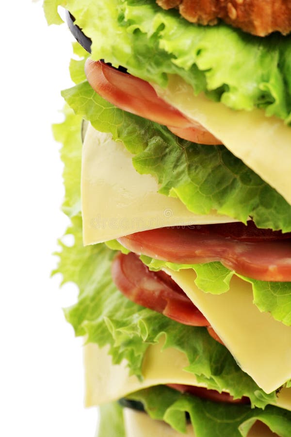 Natural stock photo. Image of meat, lunch, isolated, close - 6956188