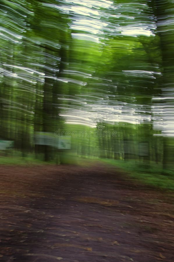 Natural Abstract Background with Blurry Forest Photographed with Moving ...