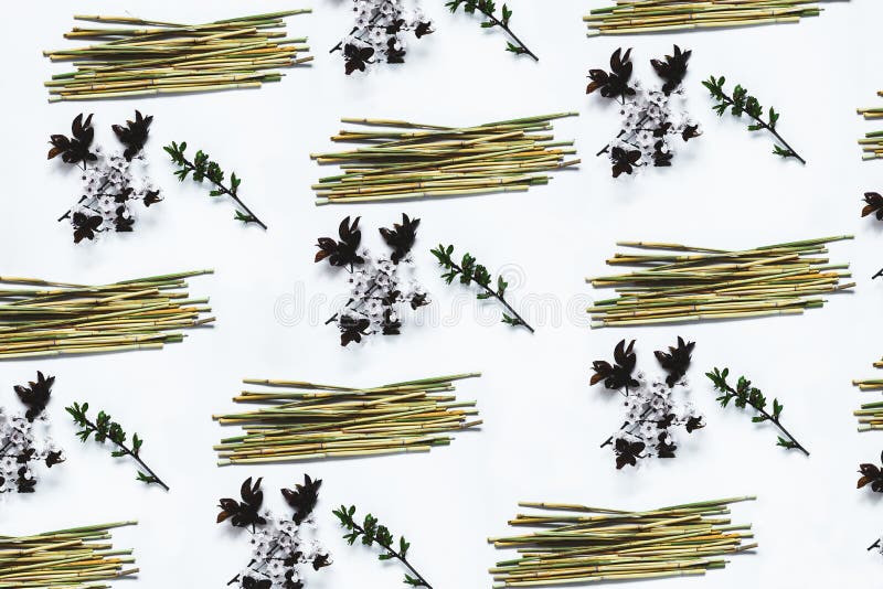Natural Abstract Background with Twigs on White Stock Photo - Image of ...