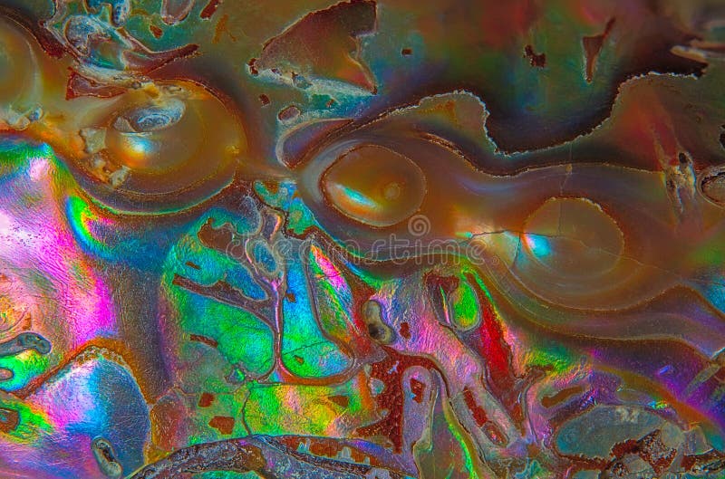 Natural Abstract Nacre Shell Colors, Abstract Background Stock Photo ...