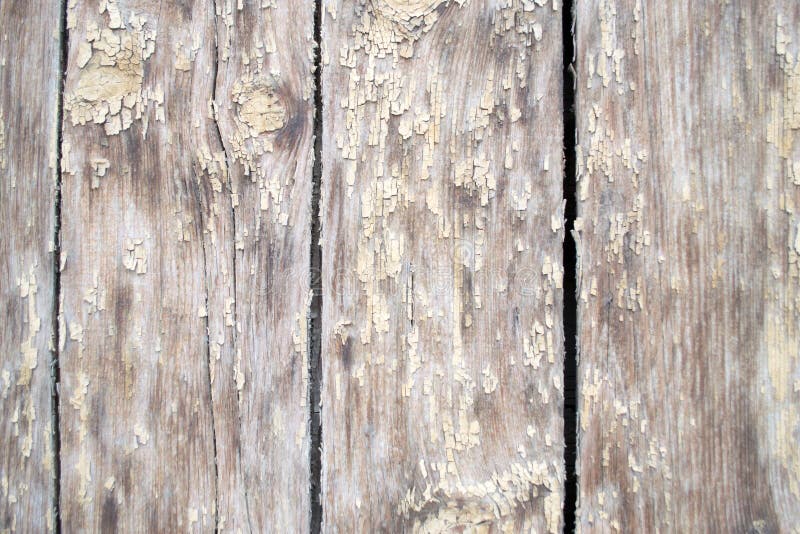 Natural Aged Wood stock image. Image of design, boards - 50369979