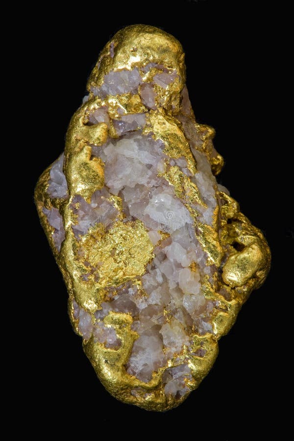 Gold in White Quartz Specimen Stock Photo - Image of colorado, gold ...