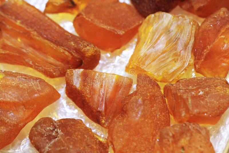 Natural Amber On Baltic Sea Coast, Lithuania Stock Image - Image of ...