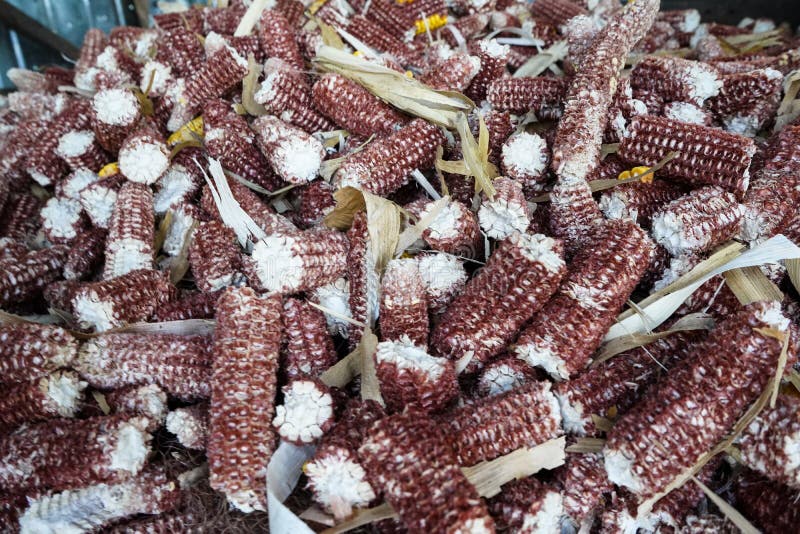 Natural Animal Food Stored for the Winter Stock Image - Image of cape ...