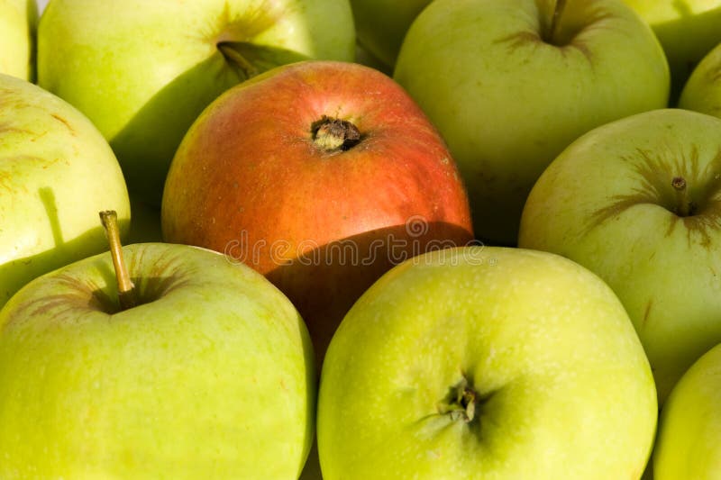 Natural apple stock image. Image of dieting, fruit, ripe - 20965837
