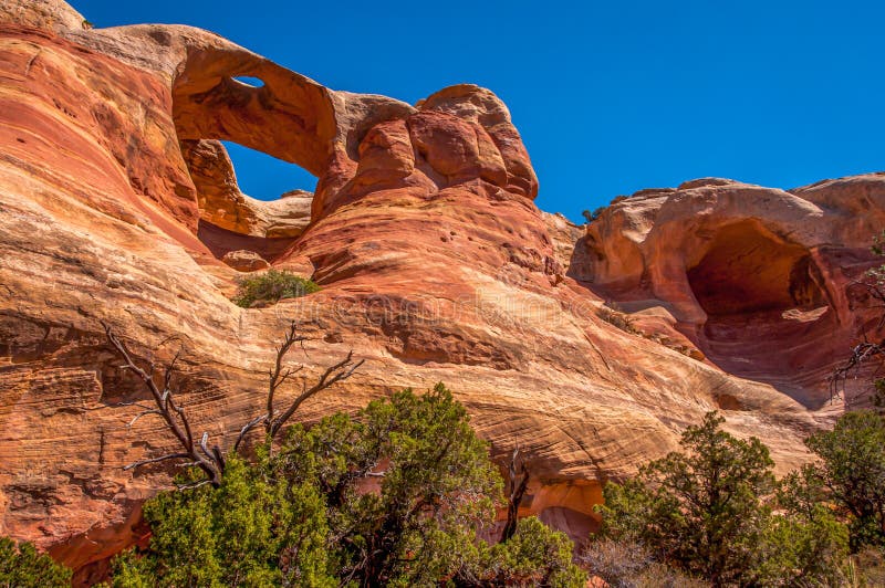 Natural Arches in Colorado Canyon Stock Image - Image of hiking, scenic ...