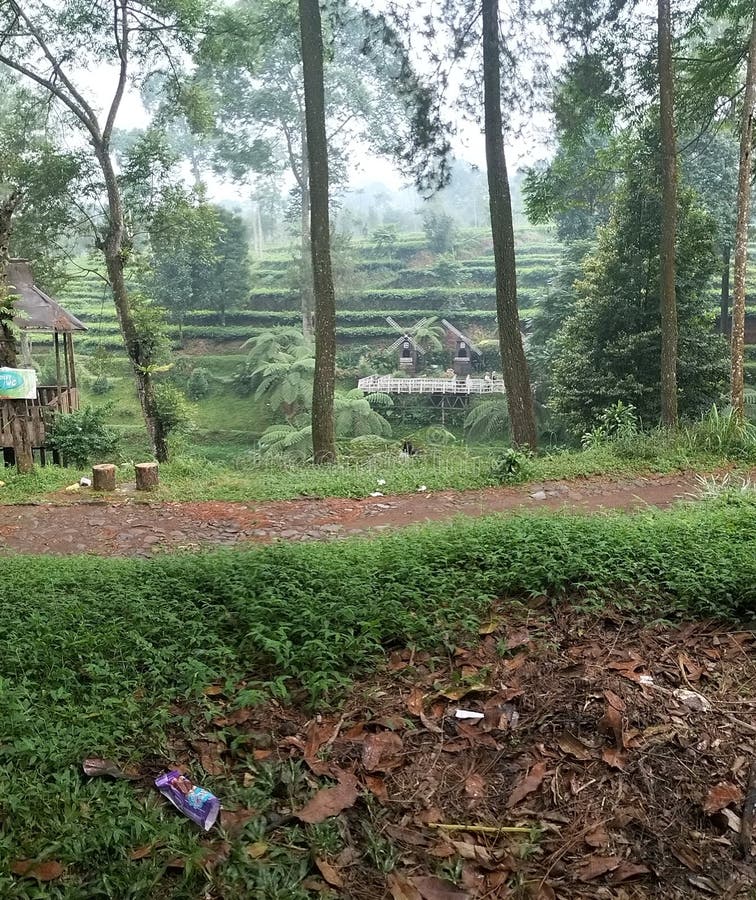 Natural Attractions that Present Beautiful and Cool Views Stock Photo ...