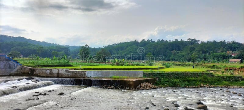 Natural Attractions that Present Natural Beauty in the Form of Rice ...