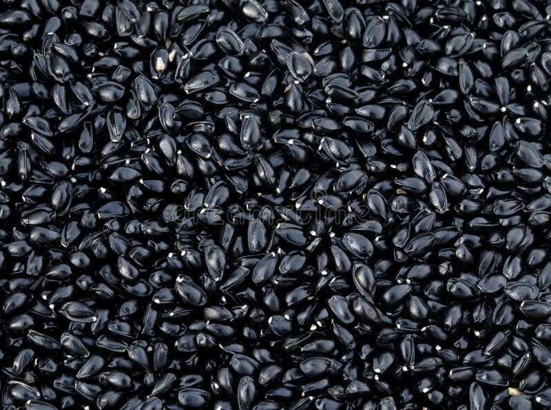 Natural Backdrop of Many Small Shiny Black Seeds Stock Photo - Image of ...