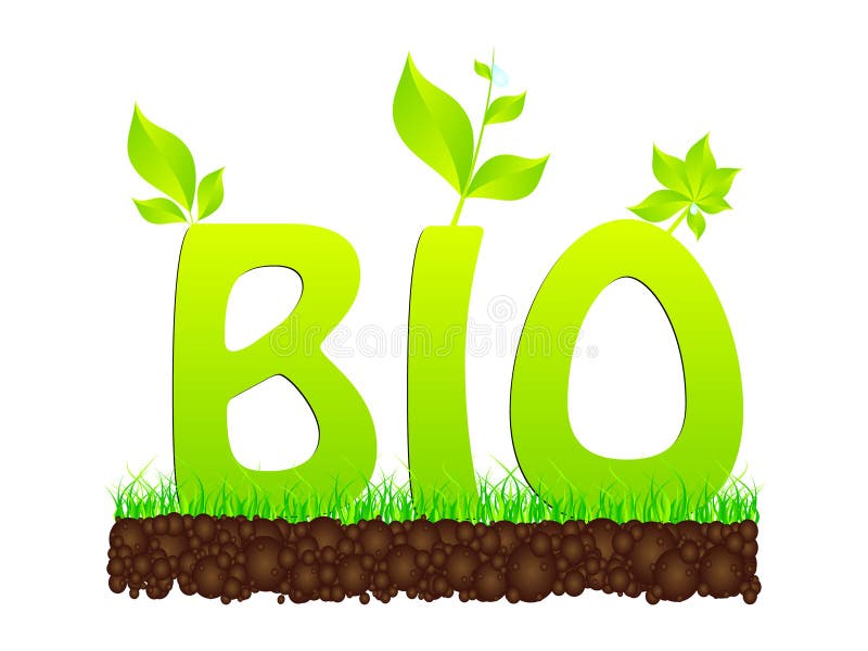 Word Cloud for Biodiversity Stock Illustration - Illustration of ...