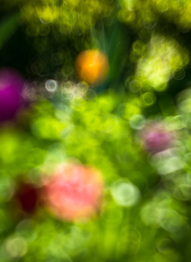 Abstract Blurred Image of a Spring Garden Stock Image - Image of ...