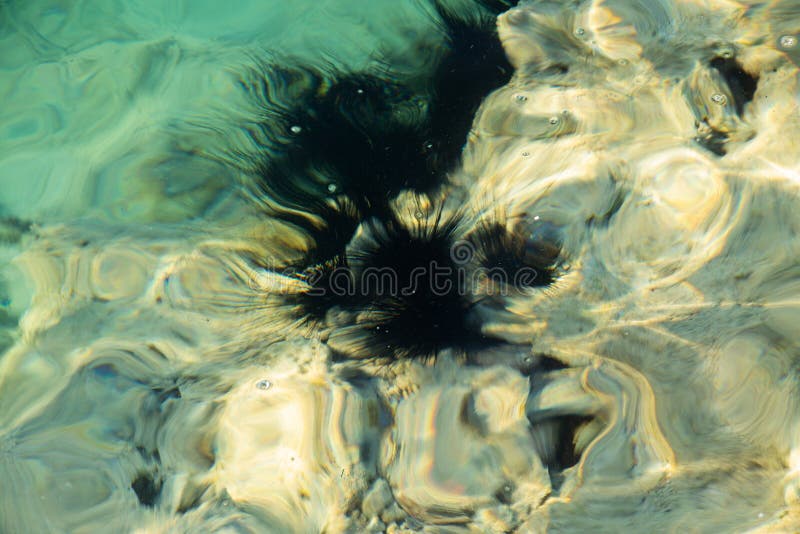 Natural Background Abstraction of Sea Water Stock Photo - Image of ...