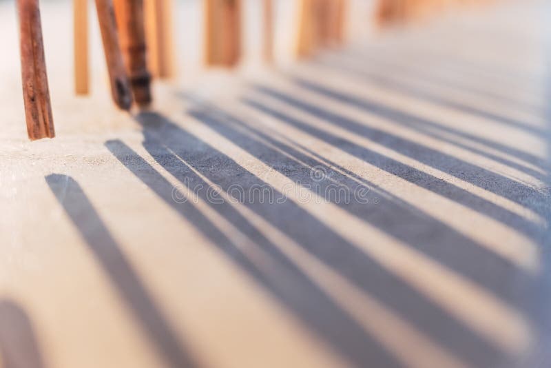 Natural Background with Backlit Sticks that Cast Shadow Lines on the ...