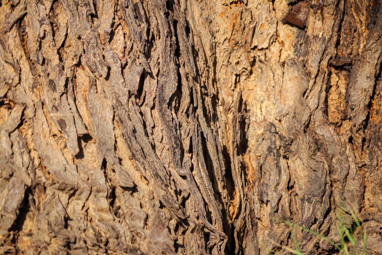 Seamless Neem Pattern Stock Photos - Free & Royalty-Free Stock Photos ...