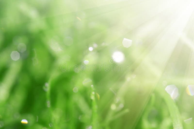 Natural Background Blurring with Sun Rays Stock Photo - Image of ...