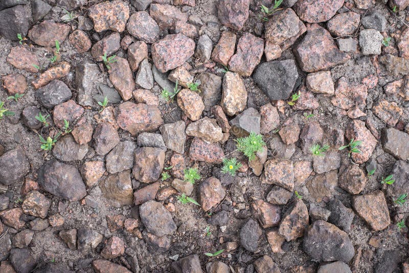 Grass, Gravel Texture and Stones Stock Photo - Image of background ...