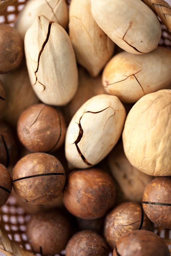 896 Types Nuts Shell Stock Photos - Free & Royalty-Free Stock Photos ...