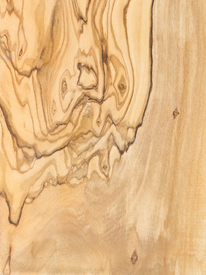 Natural Background from Olive Tree Board Stock Photo - Image of close ...