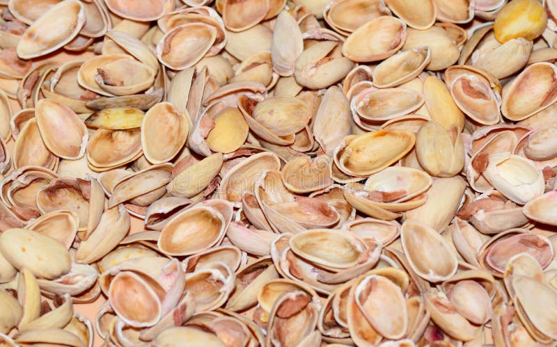 Natural Background of Pistachio Shell or Sea Beach with Shells Concept ...