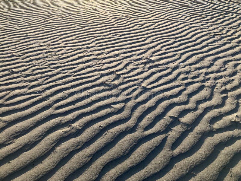 Natural Background: Ribbed Sand in Early Morning Light on Grado Beach ...