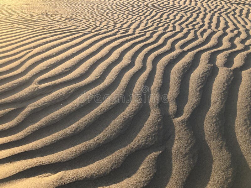 Natural Background: Ribbed Sand in Early Morning Light on Grado Beach ...