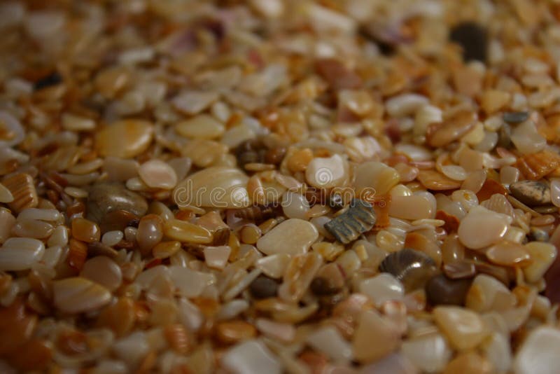 Natural Background of Small Sea Pebbles and Shells Stock Image - Image ...