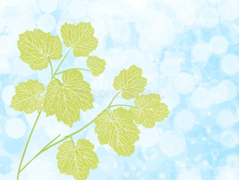 Natural Background of Spring and Summer with Detailed Focus on Certain ...