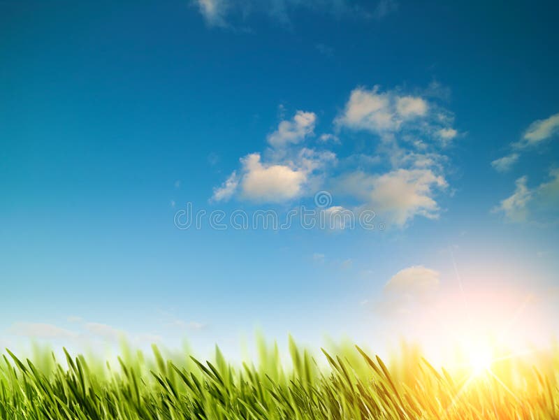 Natural Backgrounds with Green Foliage Stock Image - Image of fresh ...