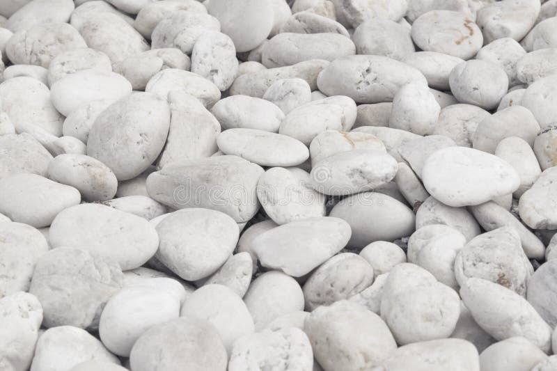 Natural Backgrounds of White Stones with Round Shape on the Ground Use ...