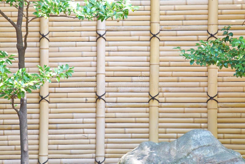 Natural bamboo texture stock photo. Image of decor, arrangement - 33502092