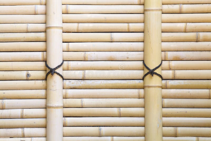 Natural bamboo texture stock image. Image of branch, decor - 33502097