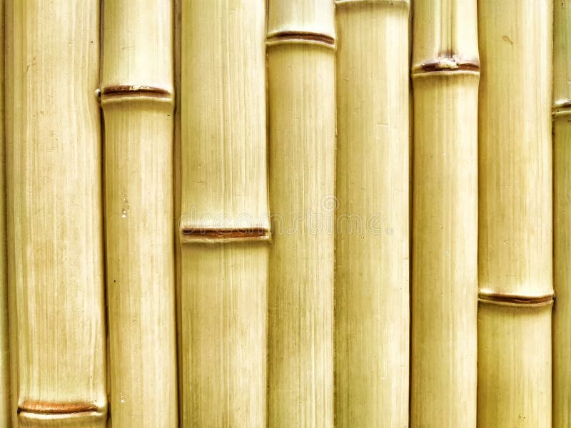 Natural Bamboo Wall Texture with a Clean Surface Suitable for Text ...