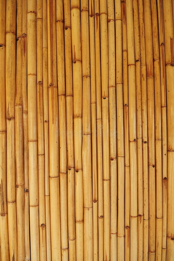 Natural bamboo walls stock photo. Image of background - 35985064