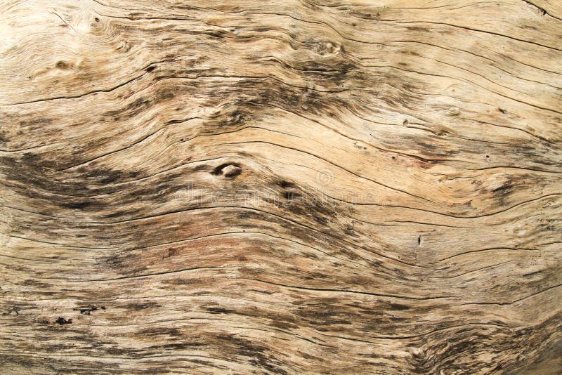 Natural Bare Wood Texture Pattern 018 Stock Photo - Image of brown ...