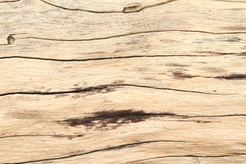 Natural Bare Wood Texture Pattern 010 Stock Image - Image of brown ...