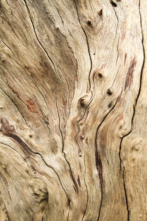 Bare Wood by Colorful Neighbors Stock Photo - Image of colorful, wood ...
