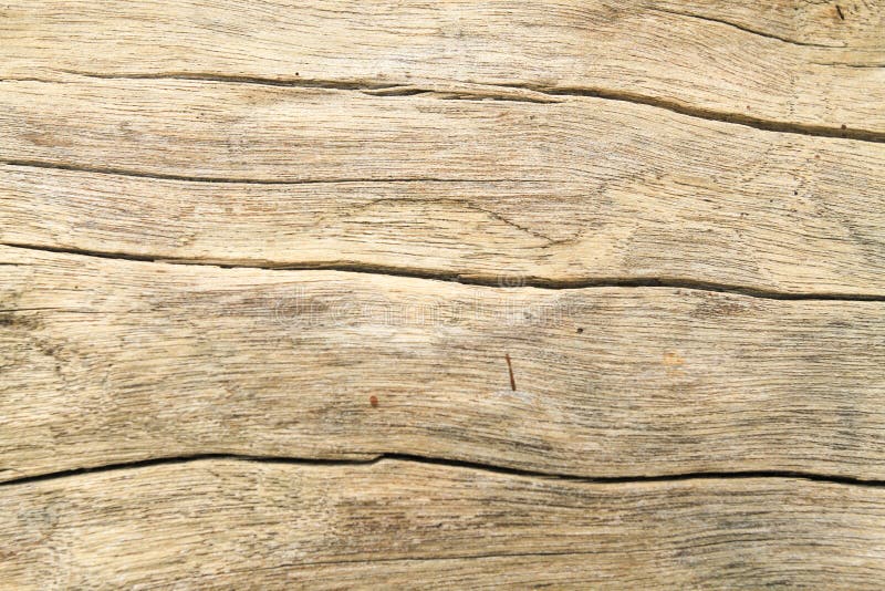 Natural Bare Wood Texture Pattern 014 Stock Image - Image of soil ...