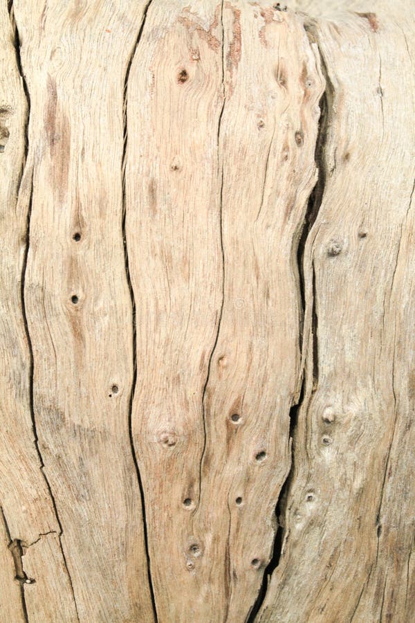 Natural Bare Wood Texture Pattern 007 Stock Image - Image of bedrock ...