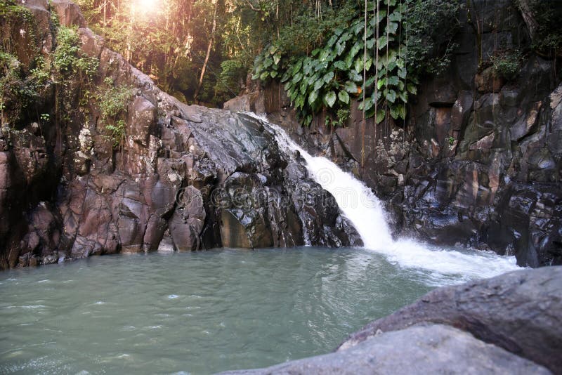 Natural basin stock image. Image of green, nature, guadeloupe - 141192173